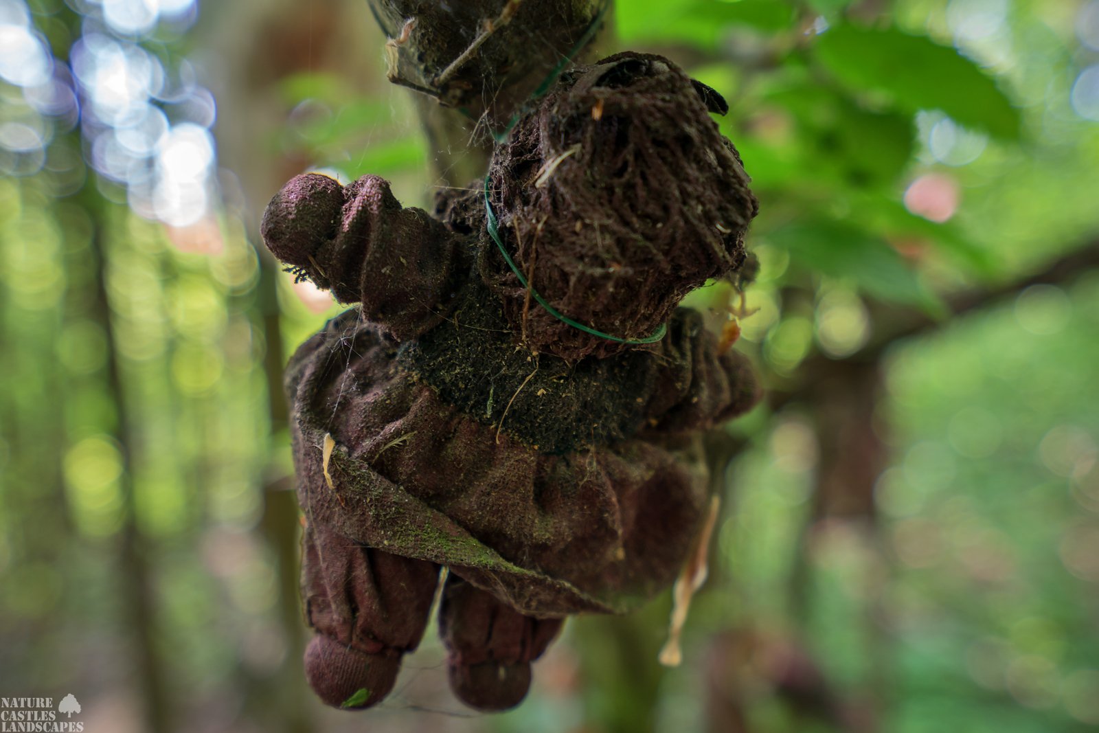 former toy dolls arranged in an abandoned forest