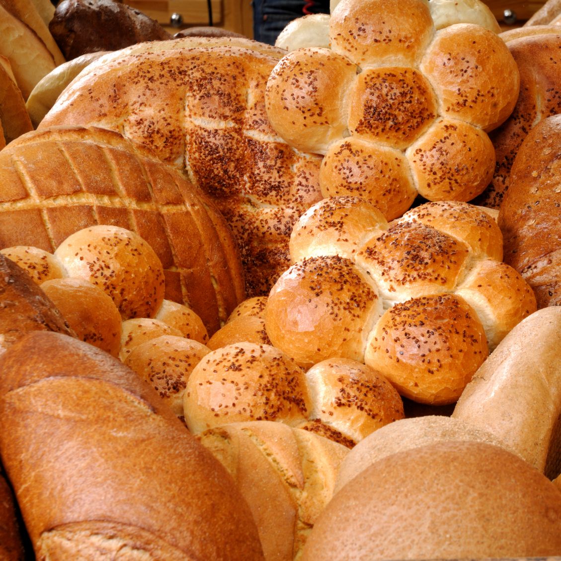 Home [www.primebake.online]