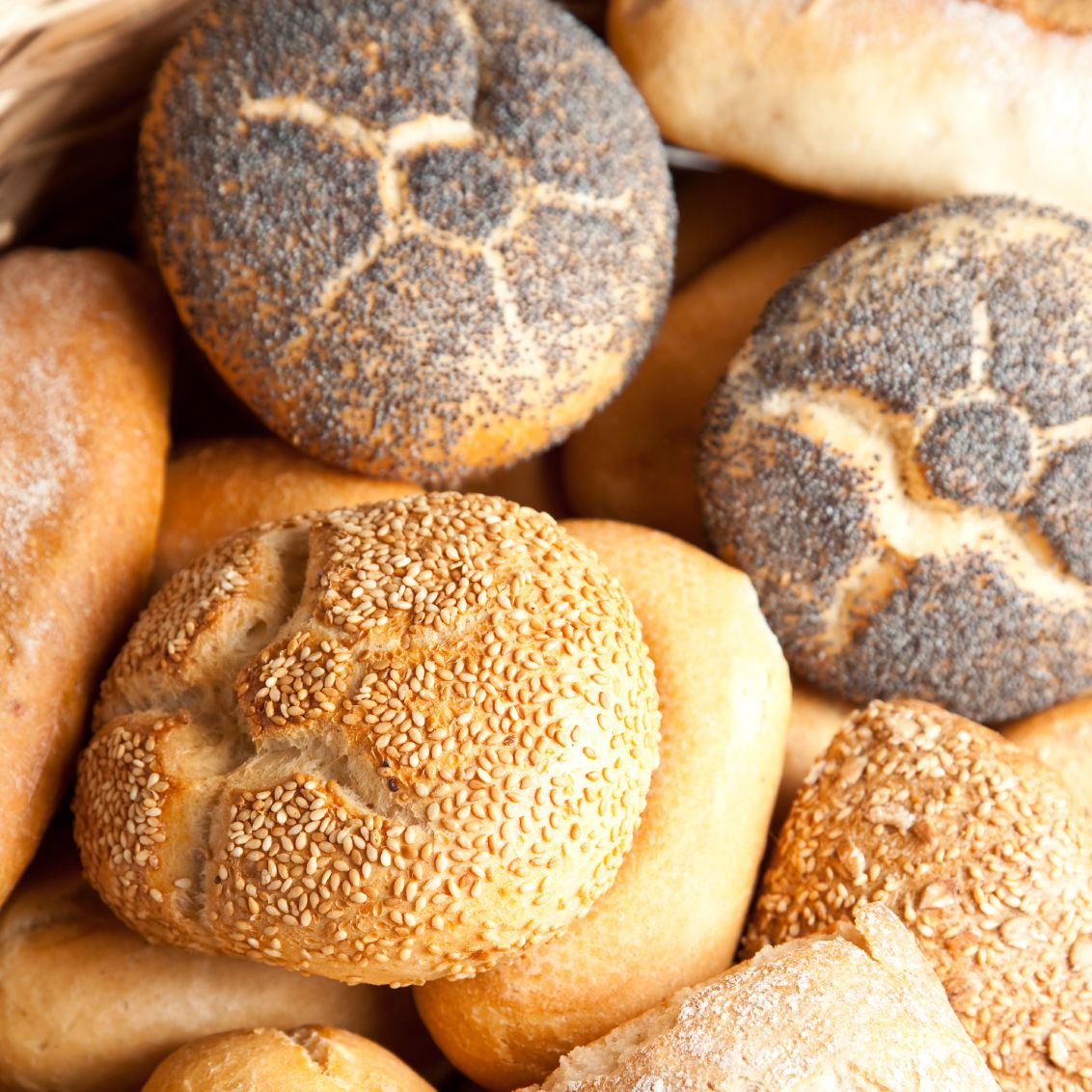 Home [www.primebake.online]