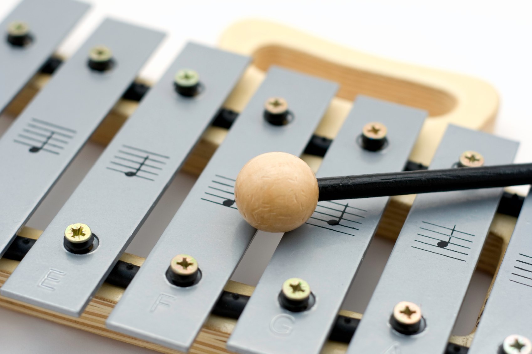 Lifelong Learning: Play a Percussion Instrument