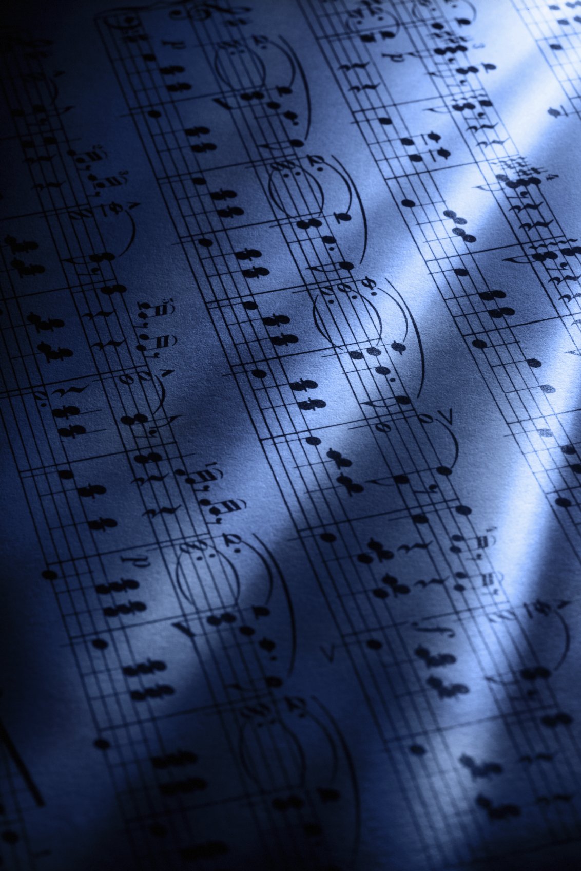 Musicalies d'Emeraude