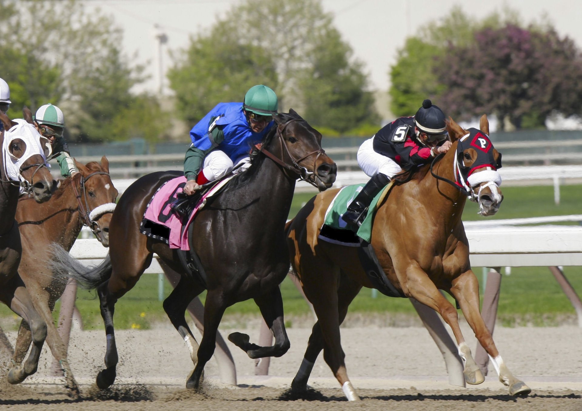 Visit Chester | Visit Cheshire | Visit Wales