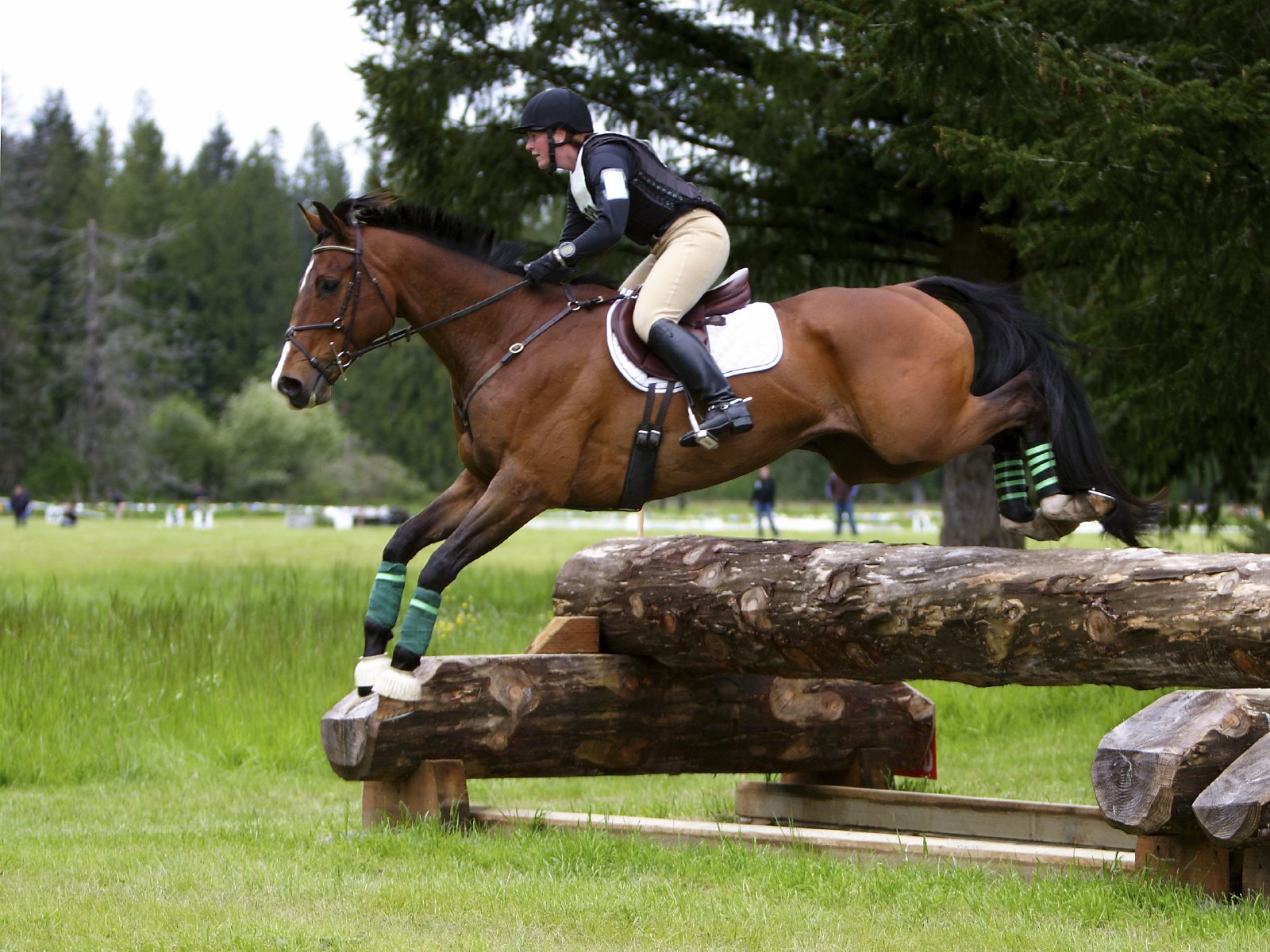 Mobilitytraining für den Reiter